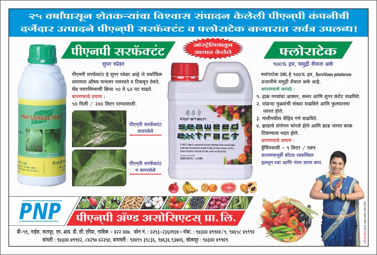 PNP & ASSOCIATES PVT. LTD.