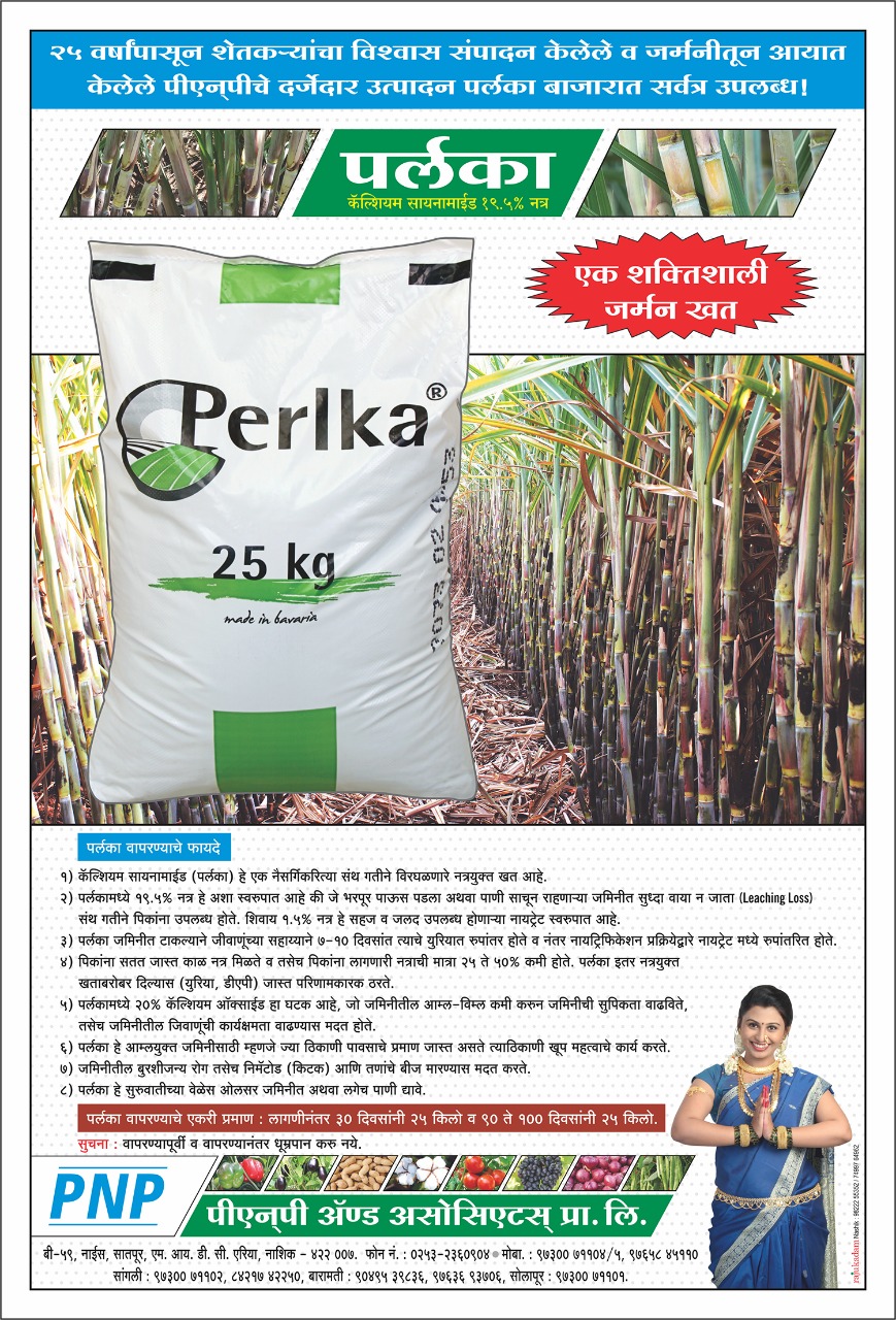 PNP & ASSOCIATES PVT. LTD.